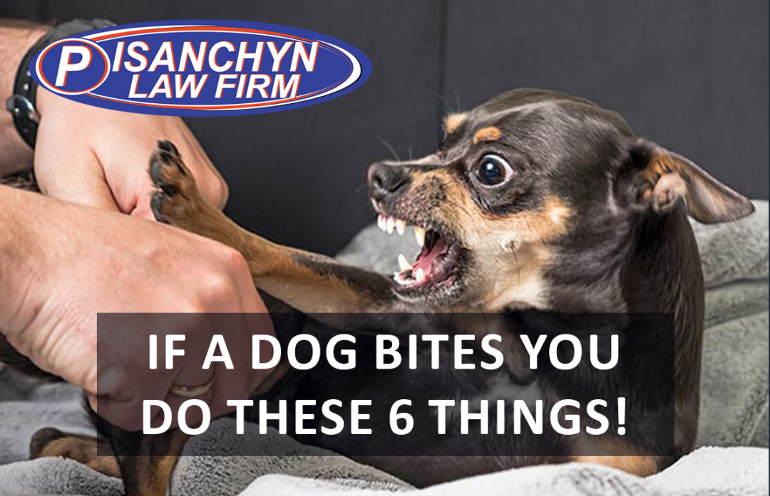 If a Dog Bites You, Do These 6 Things Now | Pisanchyn Law Firm ...